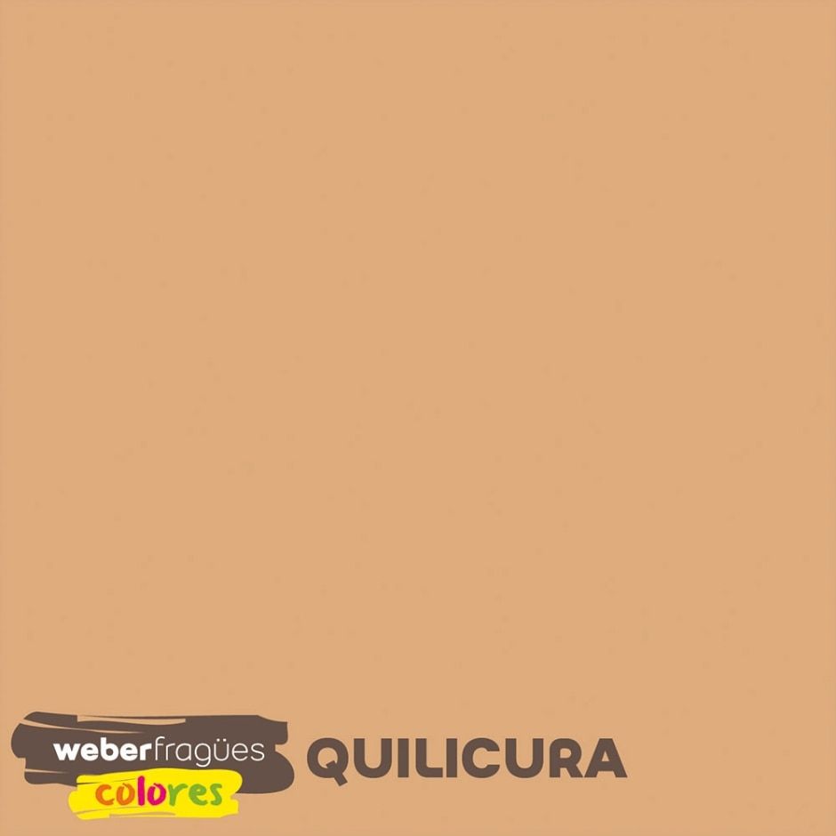 FRAGÜE WEBER 1KG QUILICURA